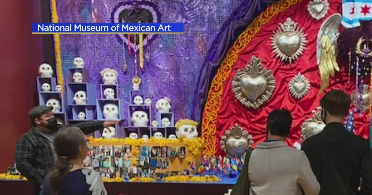 Museum of Mexican Art in Pilsen opens 36th Day of the Dead exhibit ...