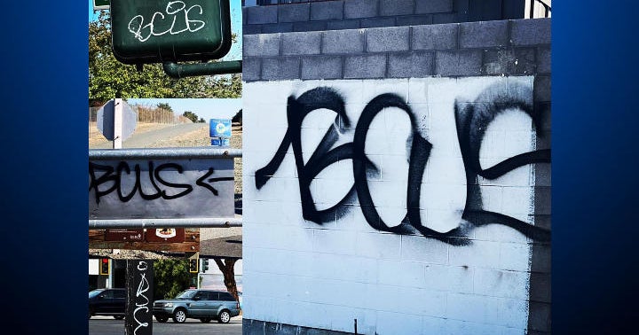 Pittsburg police arrest alleged graffiti artist who tagged over 365 ...
