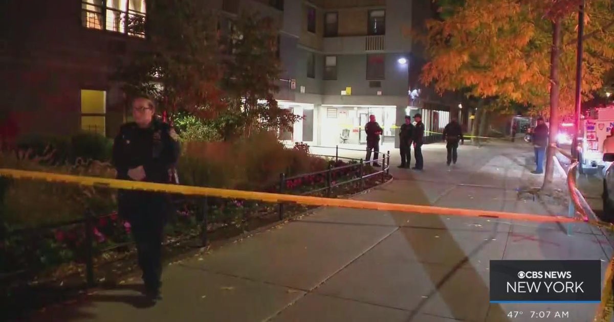 Deadly shooting at East Village NYCHA building - CBS New York