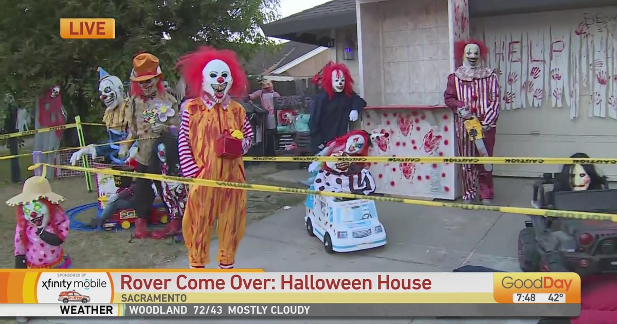 Rover Come Over: Halloween House - Good Day Sacramento