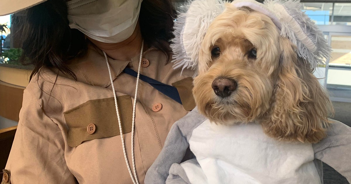 Therapy dogs dress up for Halloween at Corewell Health in Troy
