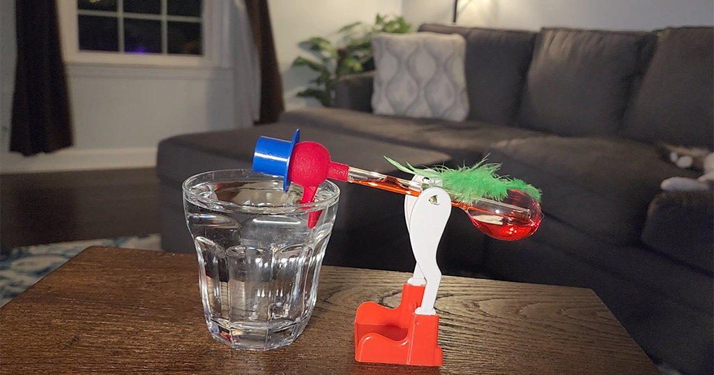 Hey Ray: The thirsty bird - CBS Pittsburgh