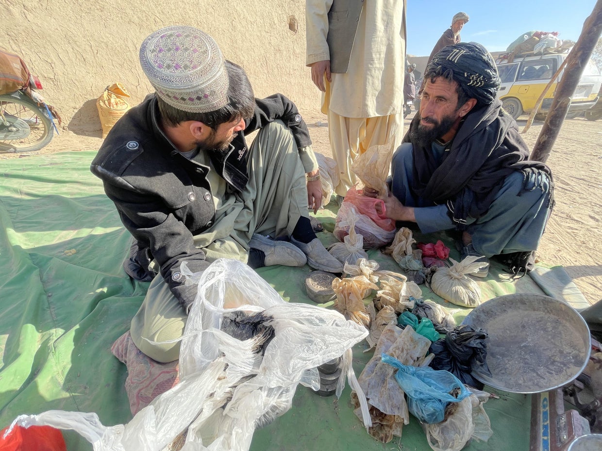 Opium production increases 32% in Taliban-ruled Afghanistan, U.N ...