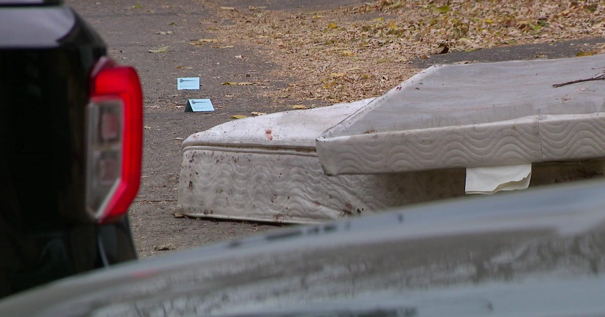Police: Woman found dead in Mpls. alley possibly killed in hit-and-run ...