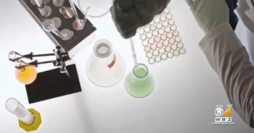 Texas lab pieced together DNA to help identify "Lady of the Dunes ...