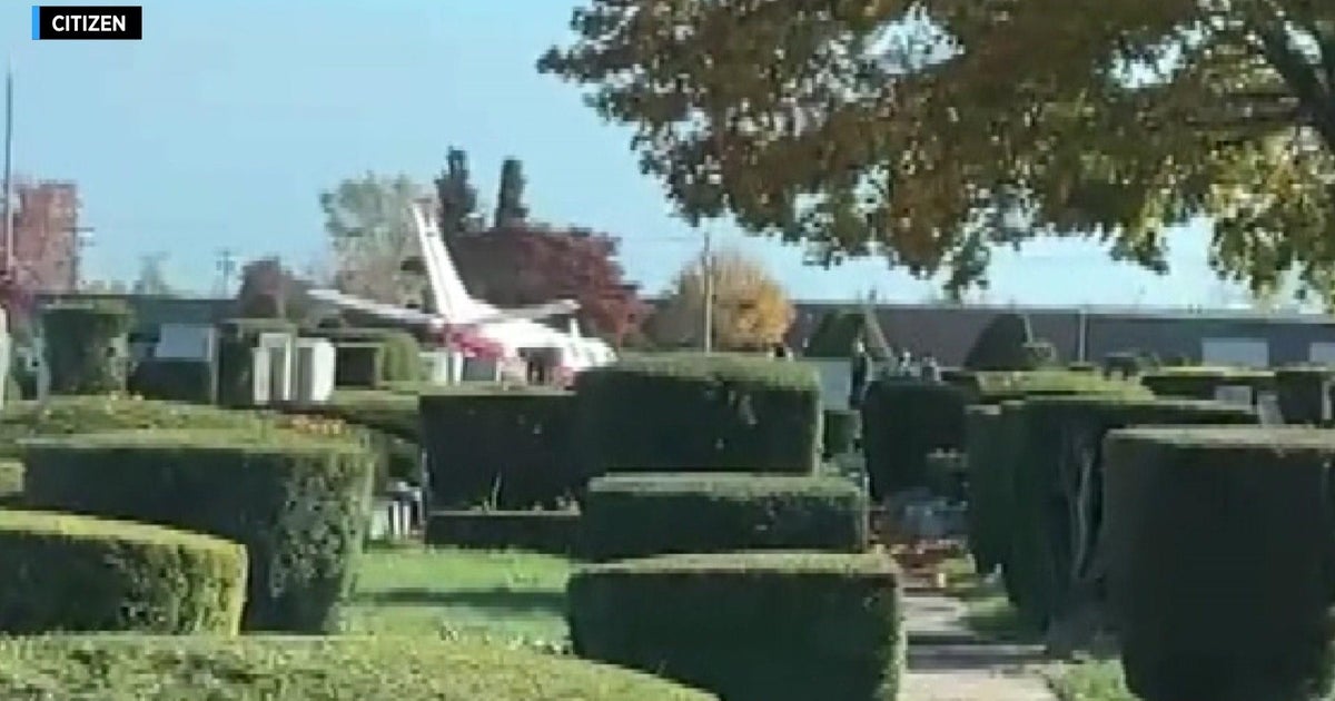 Small plane makes emergency landing in Long Island cemetery - CBS New York