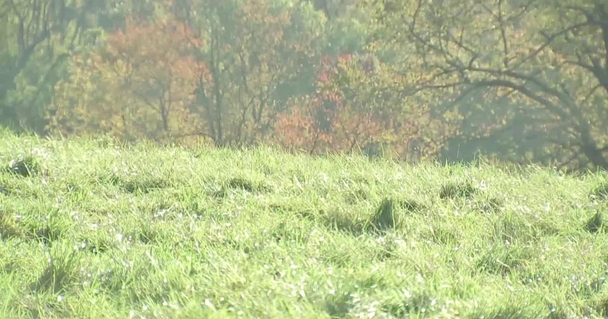 Northeast Philadelphia farmer hopes to inspire younger generation - CBS ...