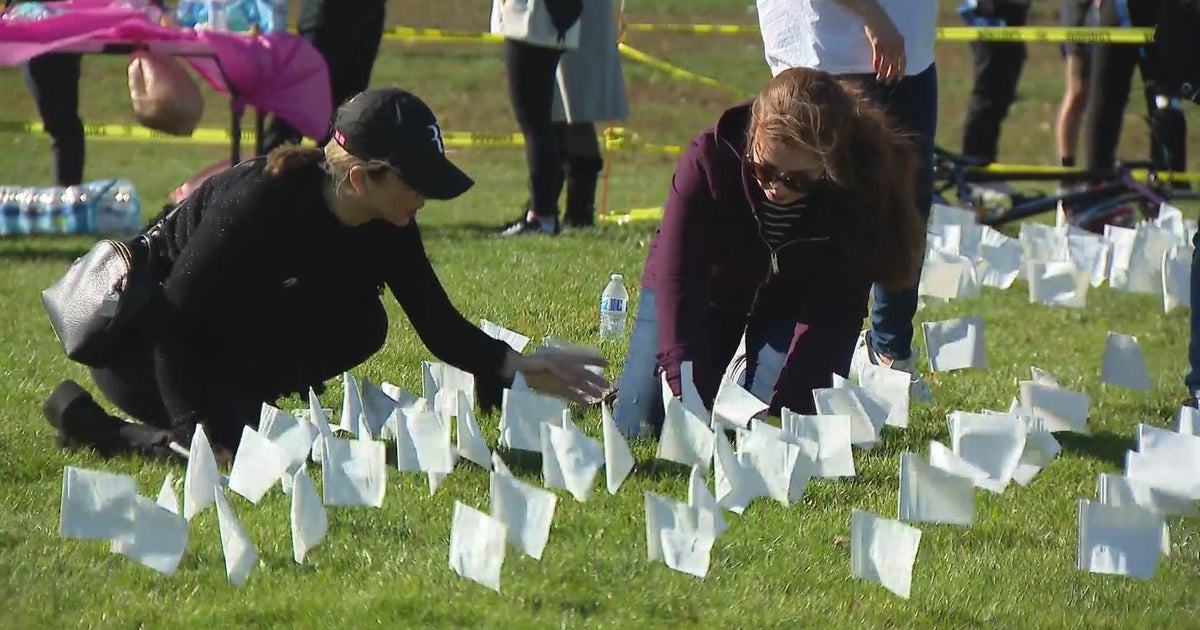Protesters in Chicago spell out 'Free Iran' in white flags visible to ...