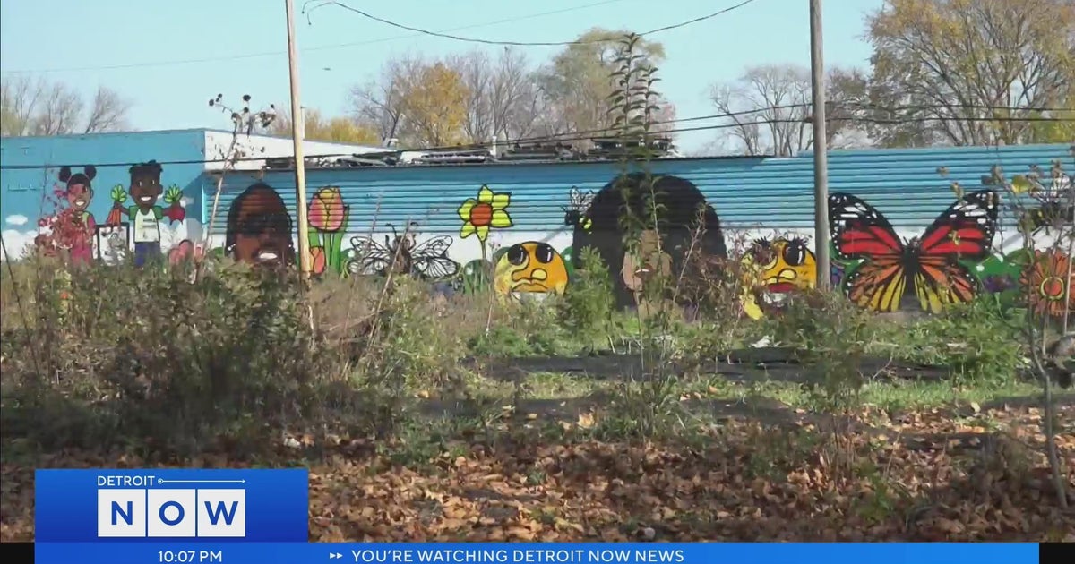 Organization bringing nature back to Michigan neighborhoods - CBS Detroit