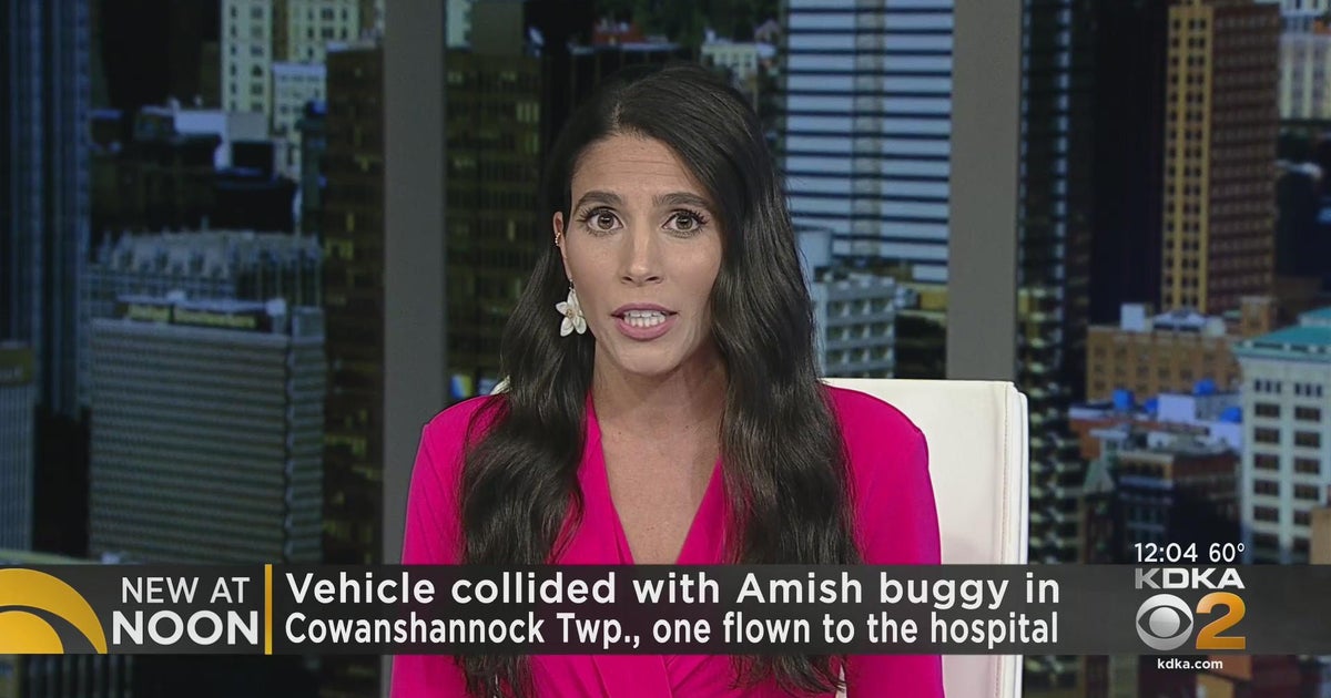 1 person flown to the hospital after vehicle collides with Amish buggy ...