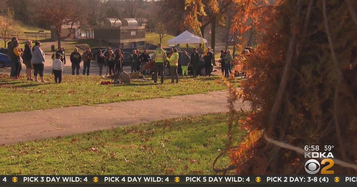 14 trees planted in Brighton Heights Park - CBS Pittsburgh