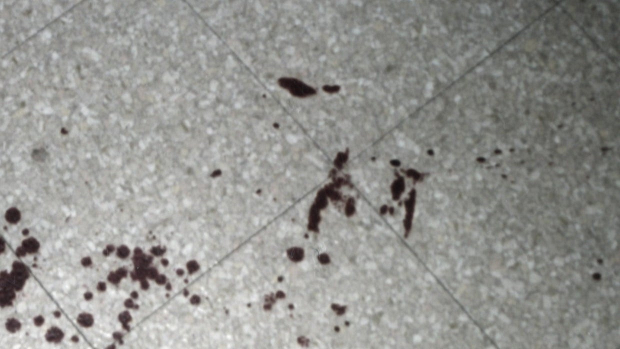 Roxanne Wood murder: How a DNA "detective" helped solve an "unsolvable ...