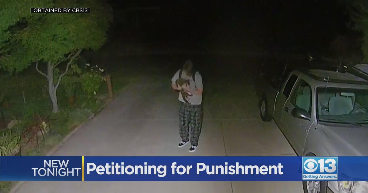 Community pushes for alleged cat killer to get tougher punishment - CBS ...