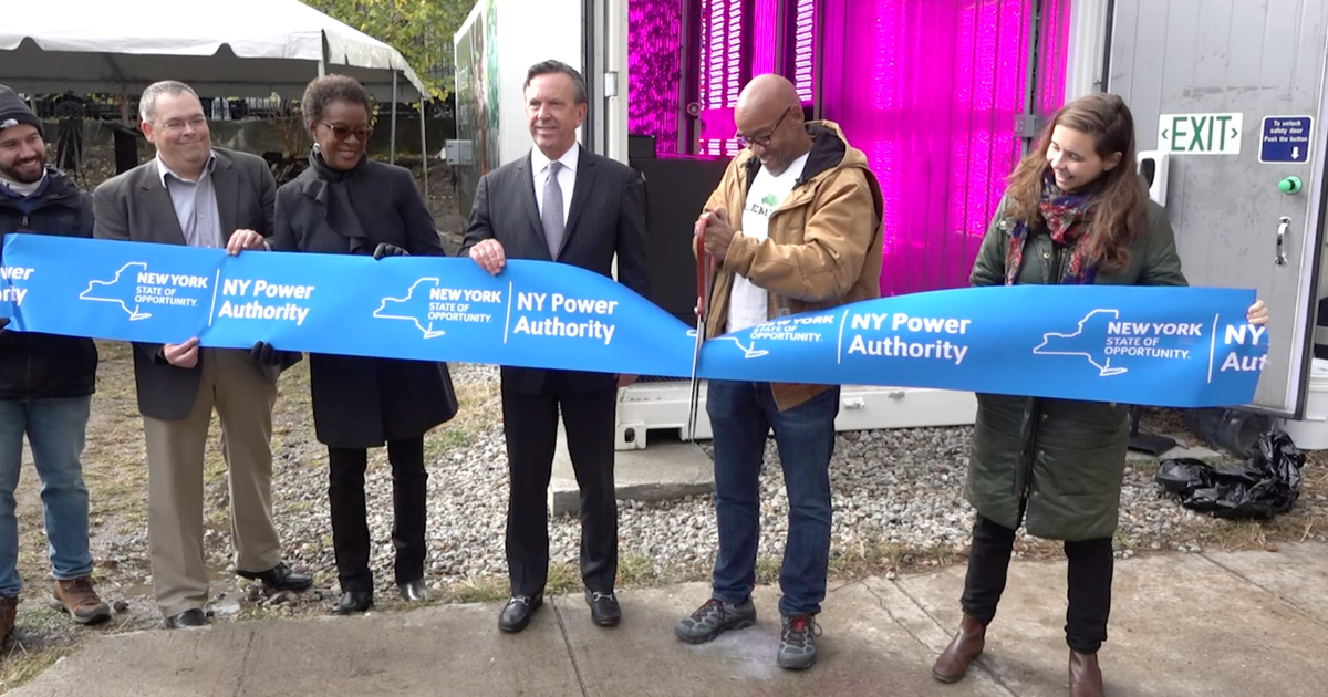 Harlem Grown demonstrates the future of farming with new shipping ...