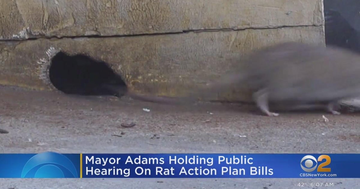 Mayor Adams holding meeting on rat action plan - CBS New York
