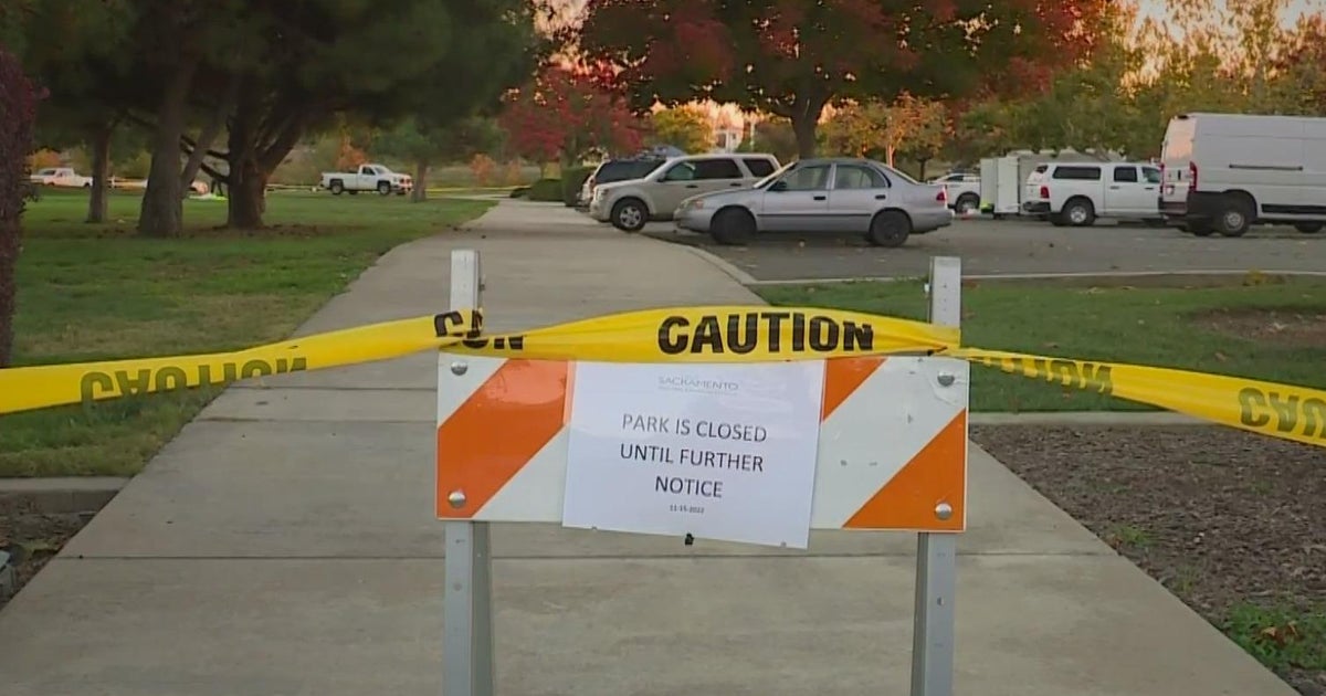 "It is very unsafe": Wildlife experts rescue 5 birds after major oil ...