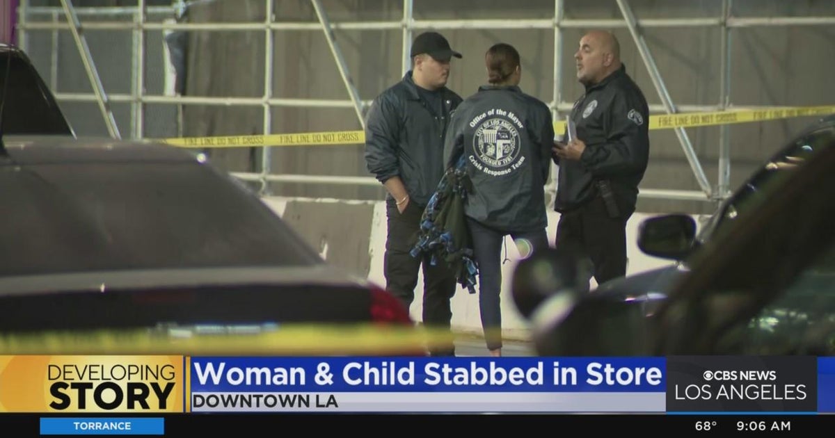 Homeless man stabs two people, including young boy, inside Target in ...