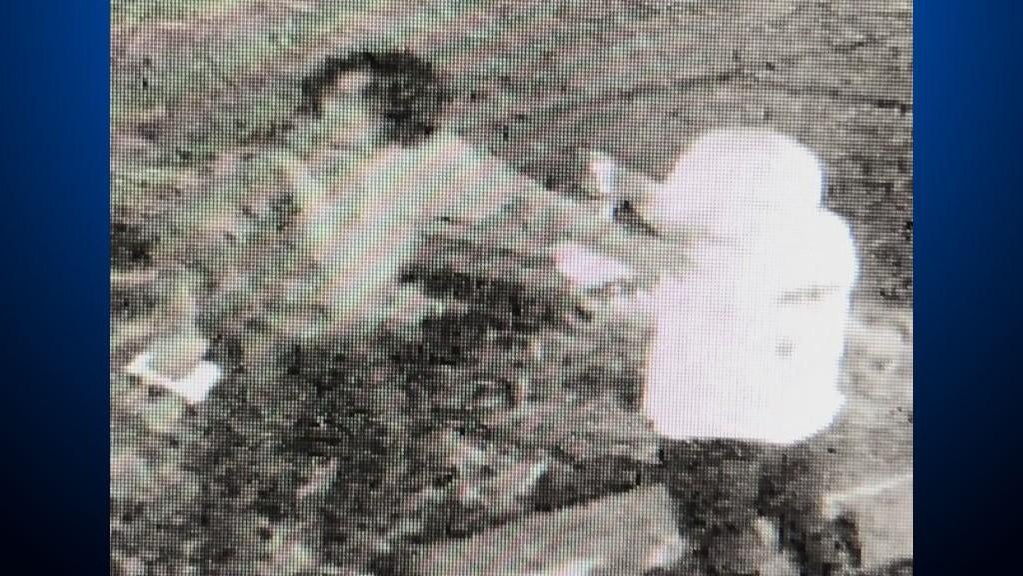 'Dark complexion' dolls found hanging at Saratoga schools prompt hate ...