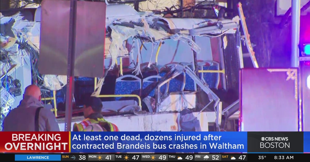 Brandeis University student killed, 27 hurt in shuttle bus crash in ...