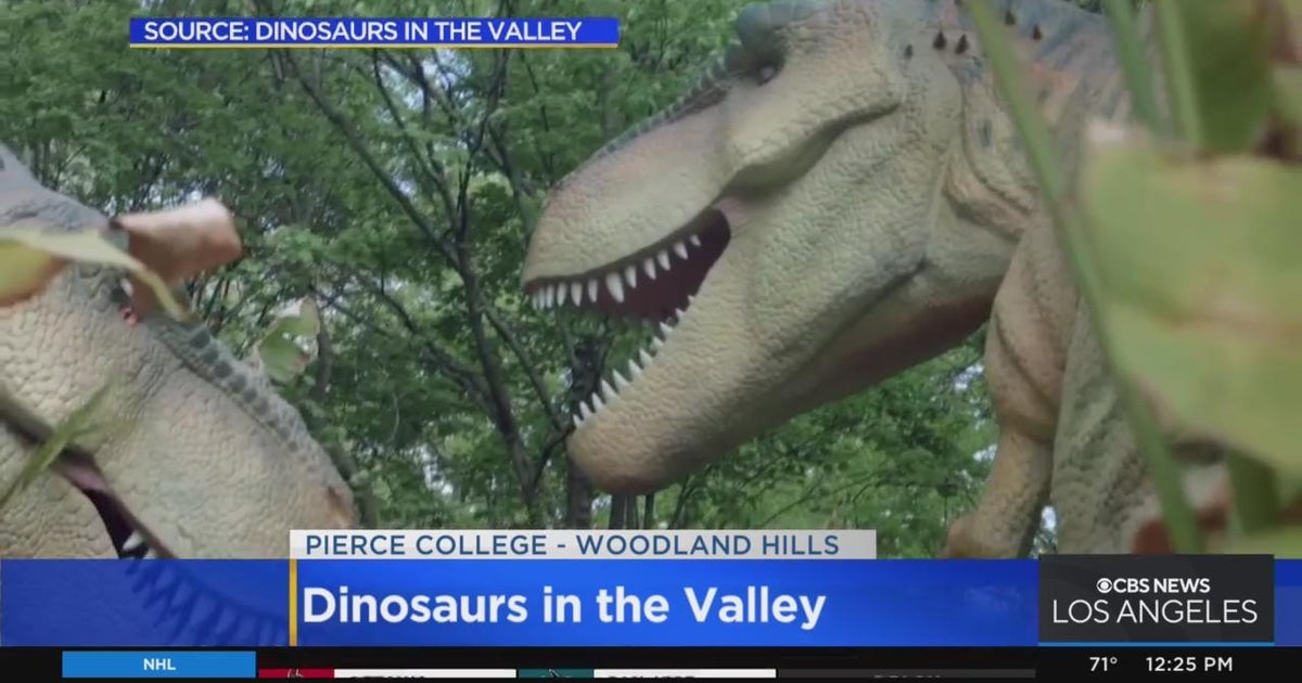 "Dinosaurs in the Valley" arrives at Pierce College - CBS Los Angeles