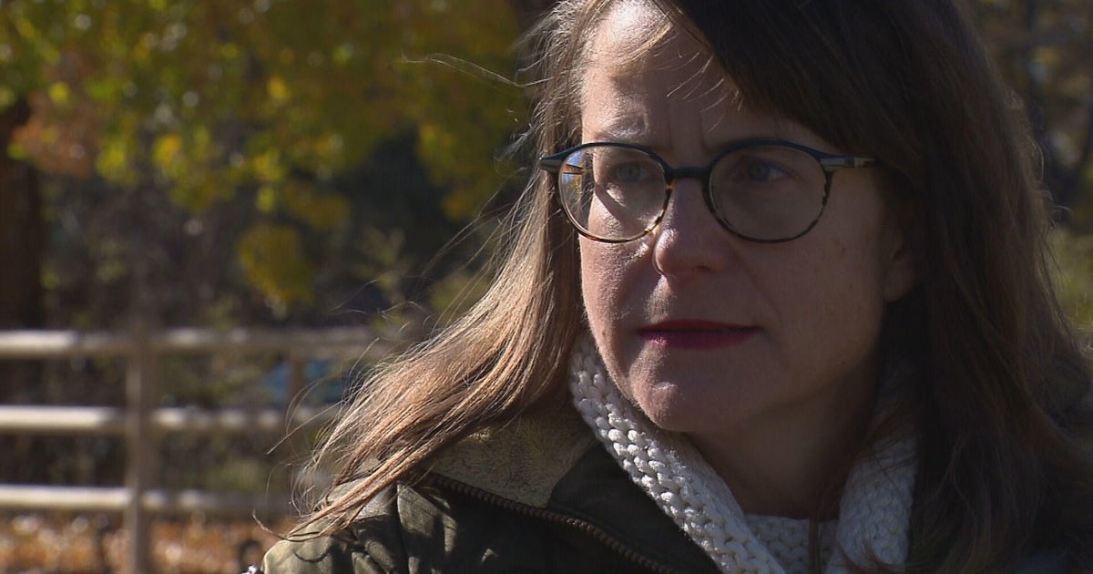 Colorado pilots program to license foster parents - CBS Colorado