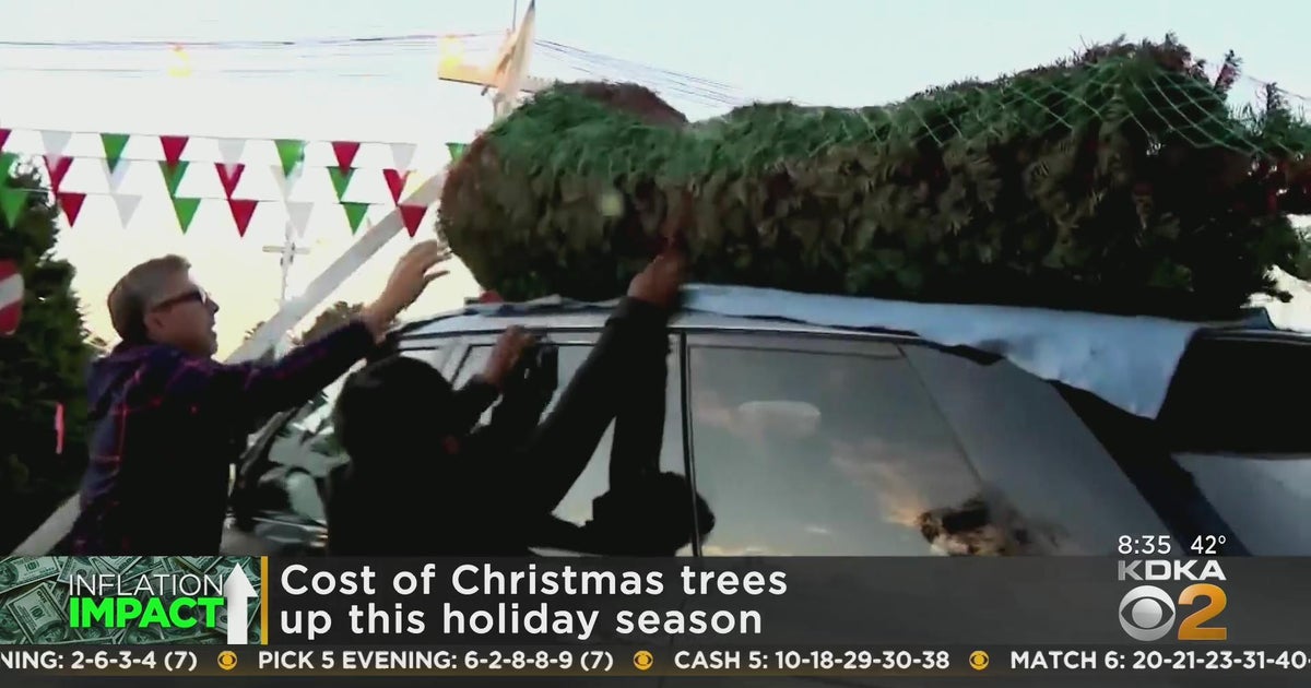 Cost of Christmas trees up this holiday season - CBS Pittsburgh