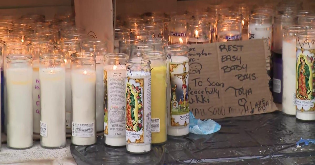 Dimone Fleming faces murder charges in stabbing death of her two ...