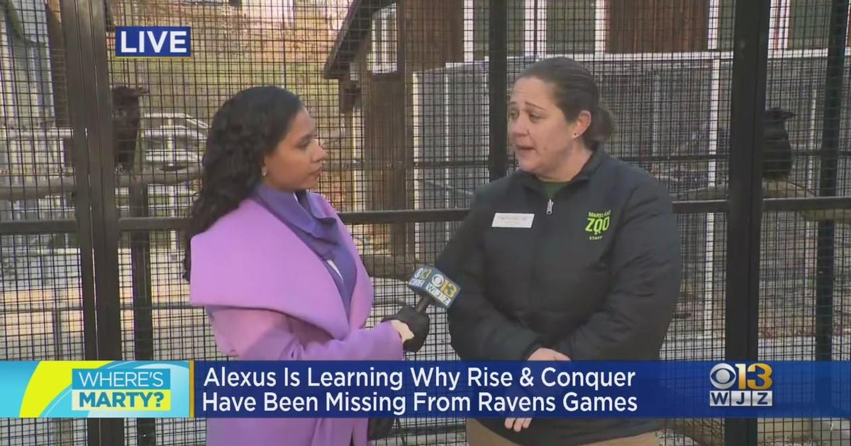 Where's Alexus? Finding out why mascots Rise and Conquer have been ...