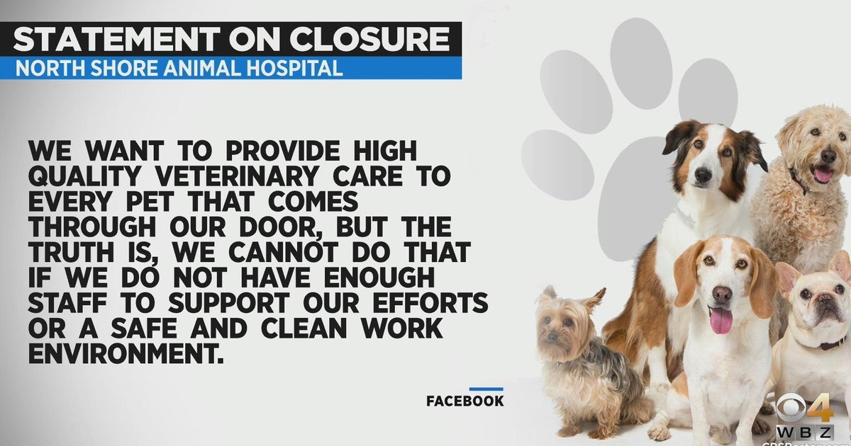 North Shore Animal Hospital announces closure - CBS Boston