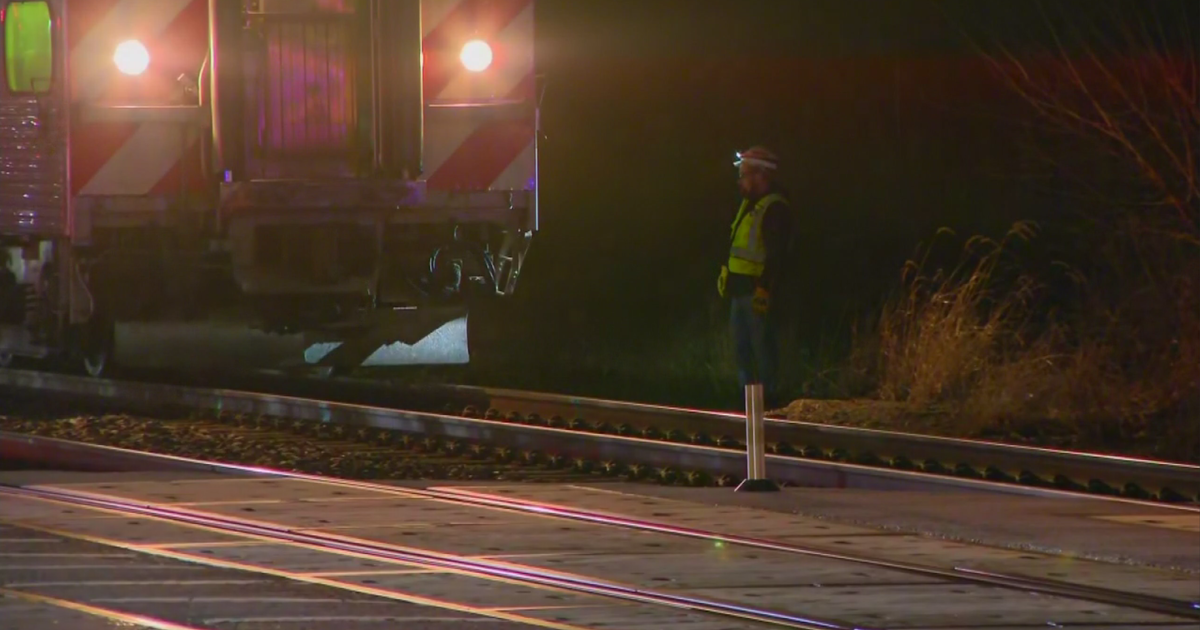 Metra trains halted in Palatine after car hit by train - CBS Chicago