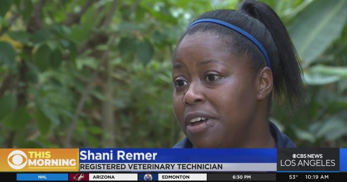 Shani Remer is a registered veterinary technician at Santa Ana Zoo ...
