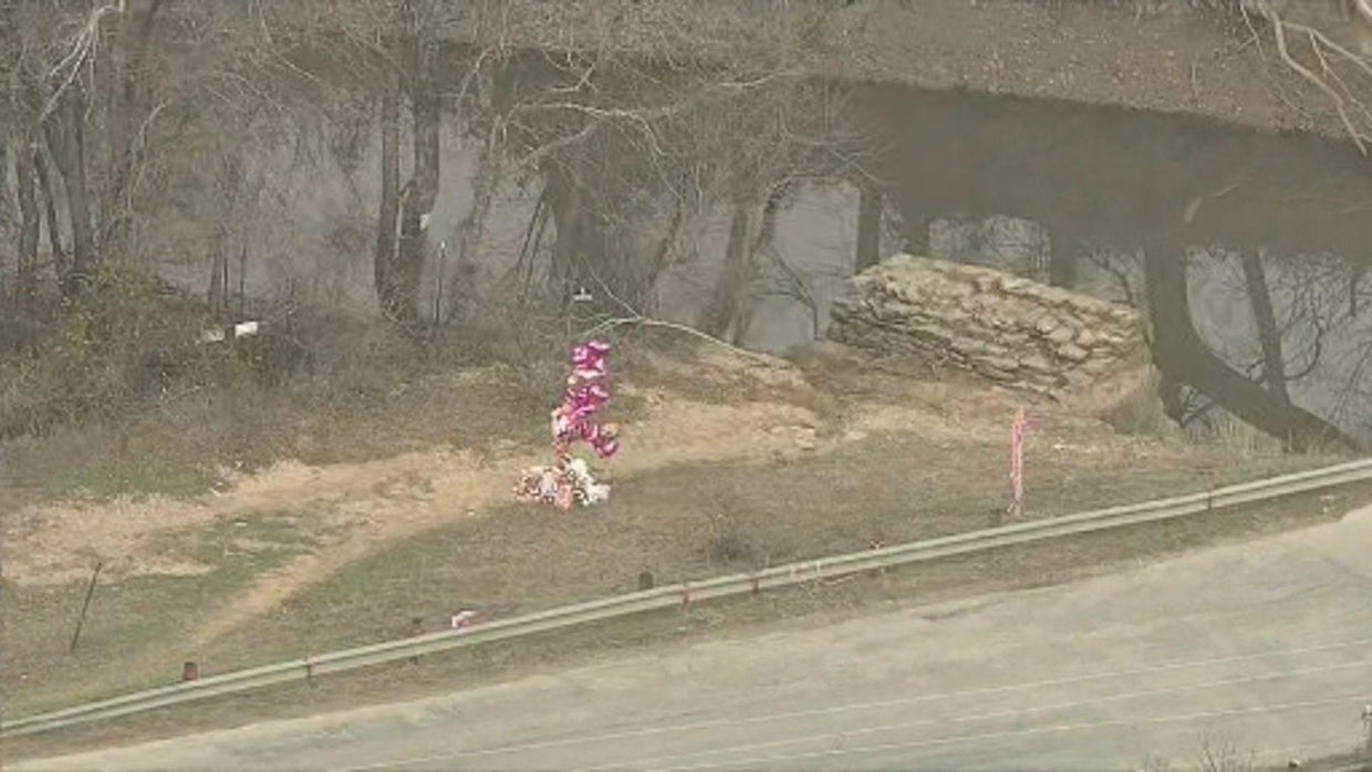 Affidavit: FedEx driver strangled Athena Strand, 7, after accidentally ...