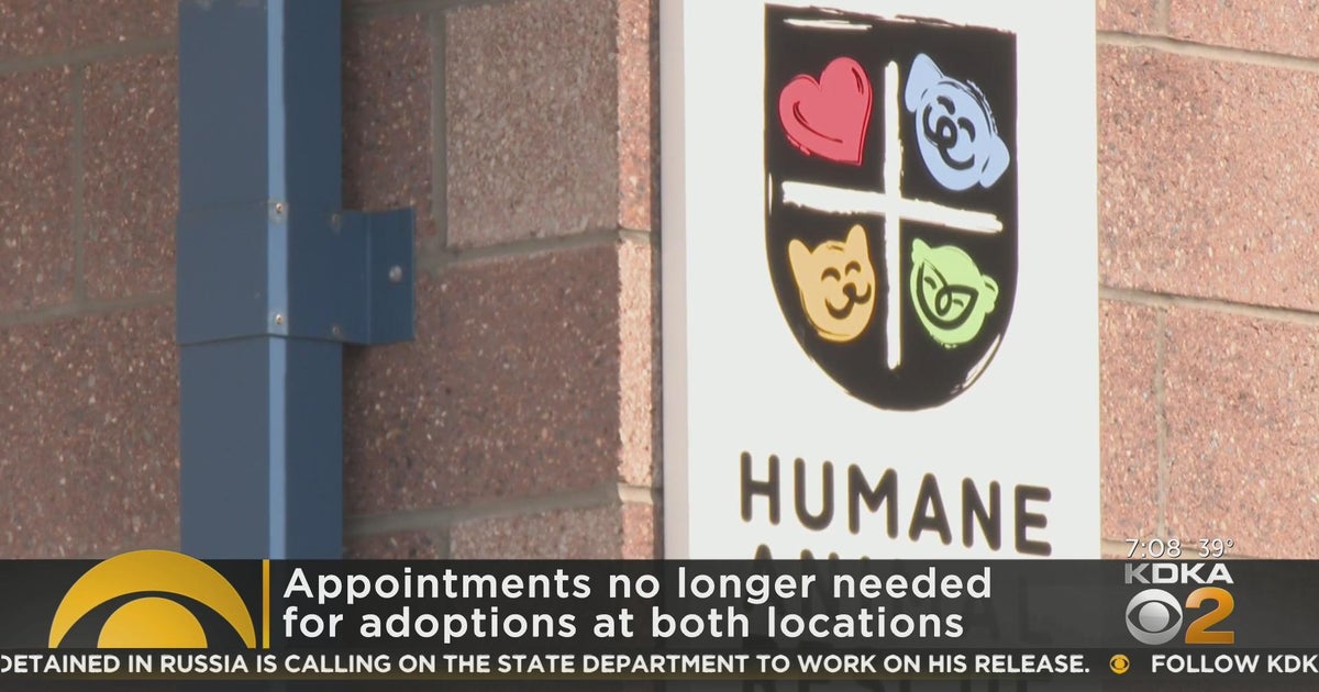 Humane Animal Rescue of Pittsburgh changes adoption hours amid increase ...