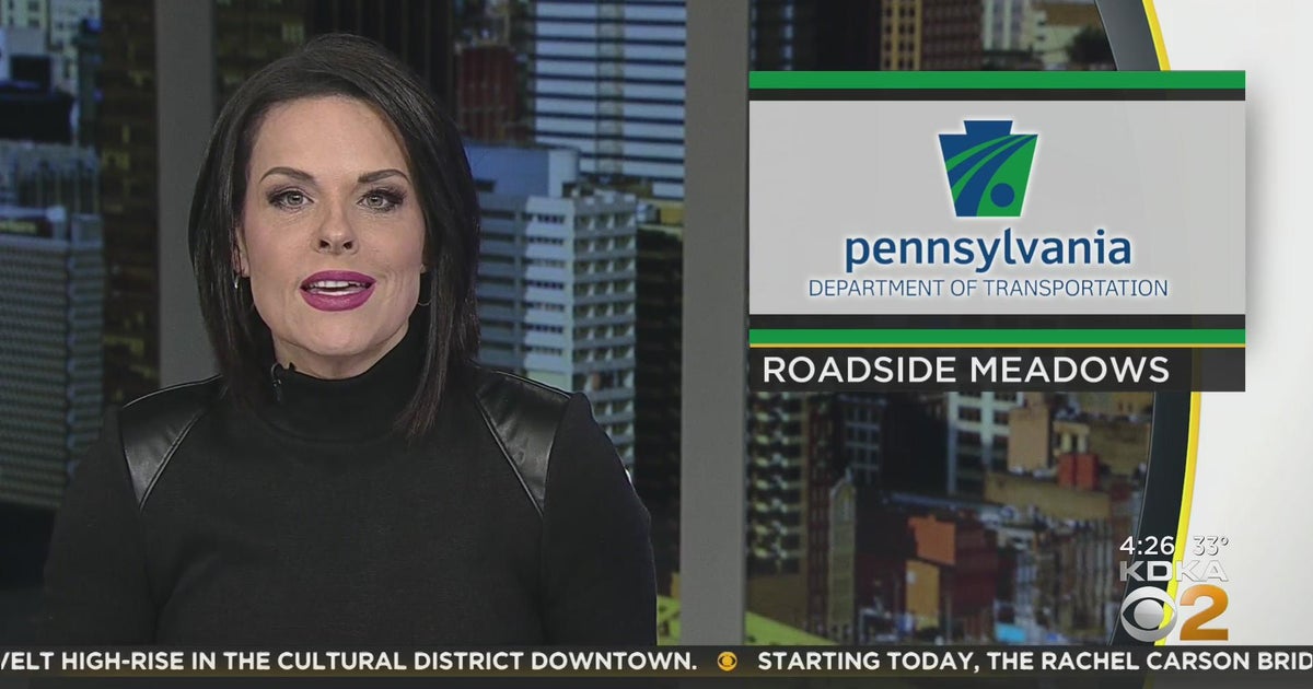 PennDOT, local nonprofit transform 50 acres of roadside turf into ...