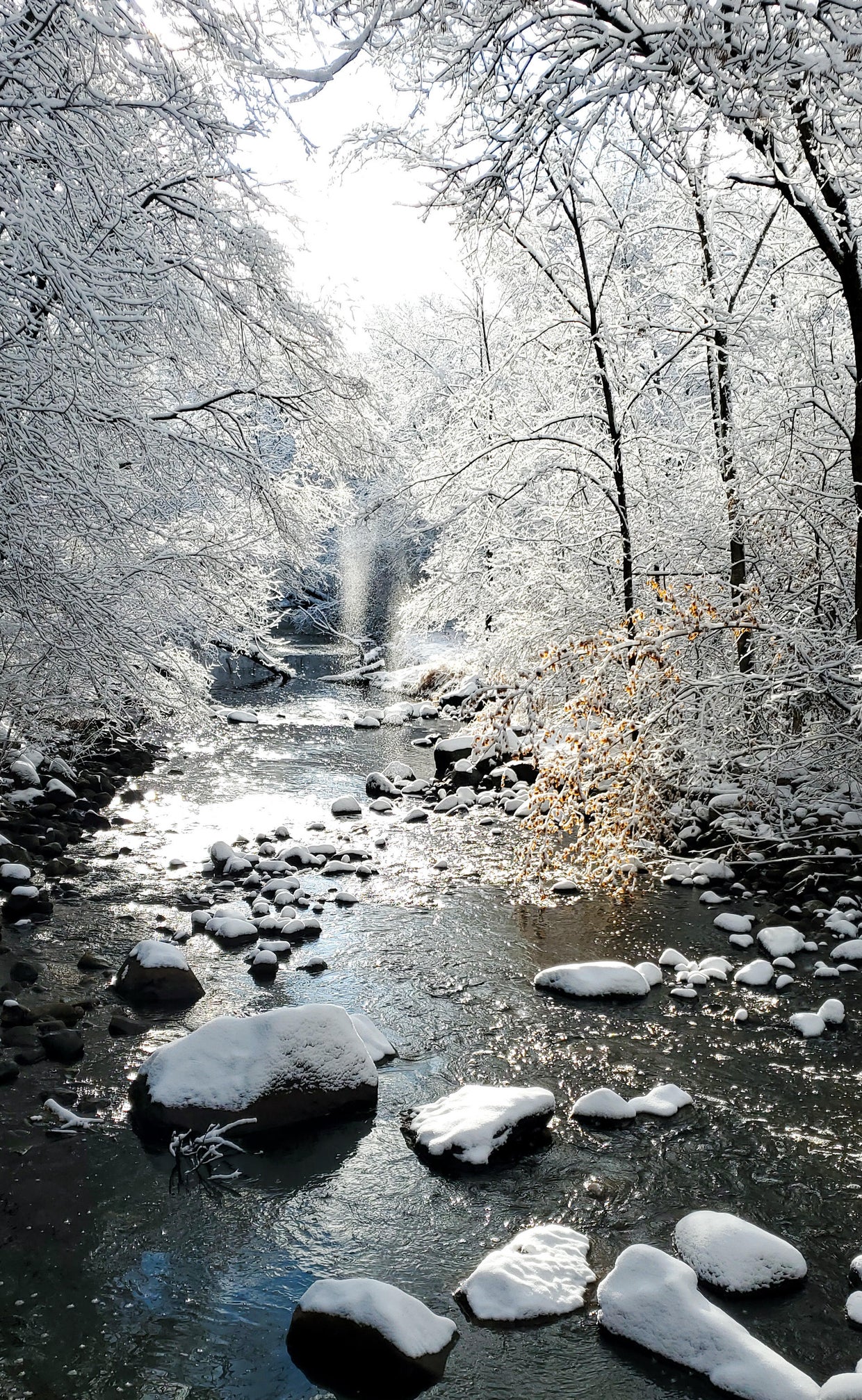 SNOW PICS: Minnesotans share their best views of wintry landscapes