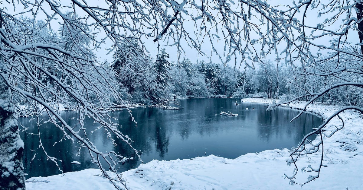 SNOW PICS: Minnesotans share their best views of wintry landscapes