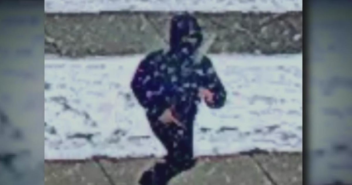 Identity of second teen killed in shooting outside Chicago high school ...