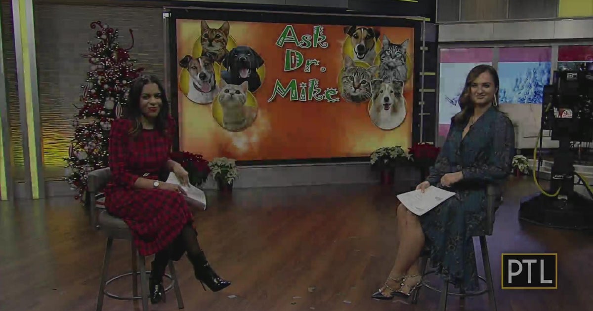 Ask Dr. Mike: Dec. 19, 2022 - CBS Pittsburgh