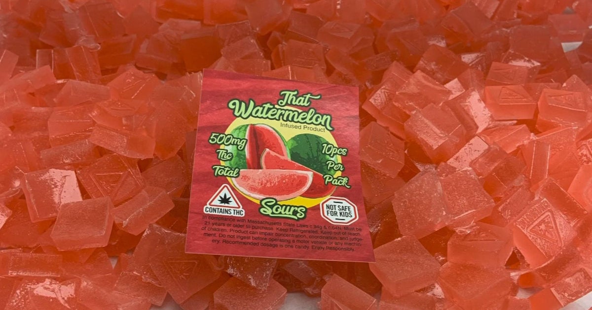 Braintree Police uncover illegal marijuana edibles operation - CBS Boston