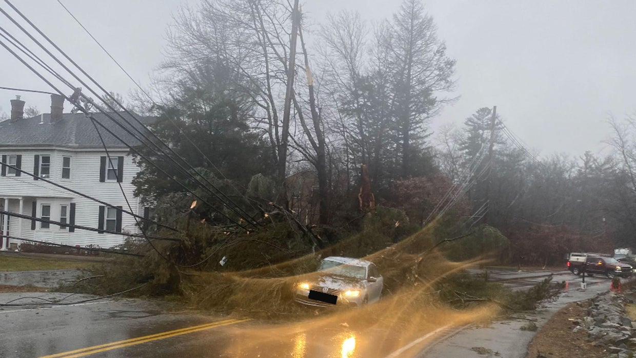 Photos: Damage from Friday's powerful wind, rain storm