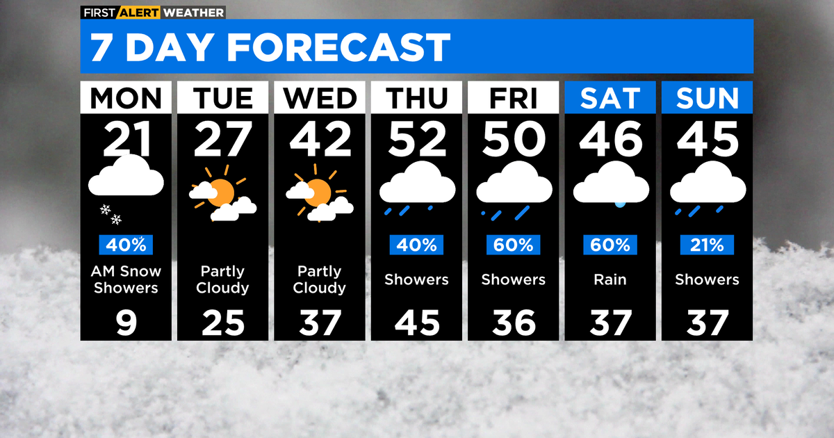 Chicago First Alert Weather: Thawing out this week - CBS Chicago