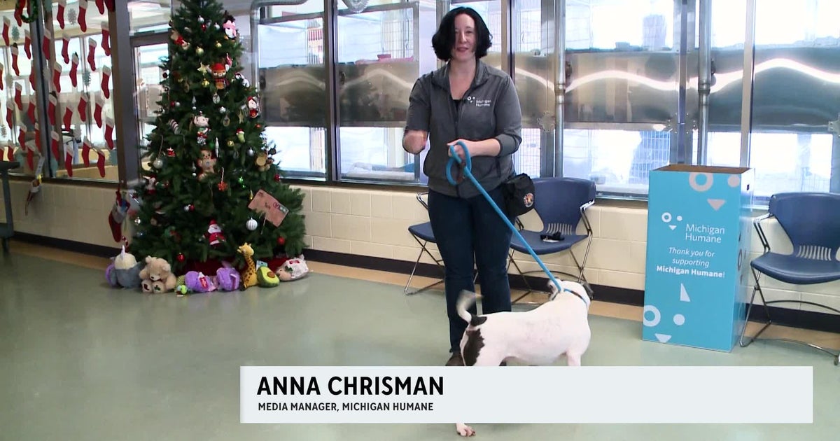 Furry Fridays December 30, 2022 - CBS Detroit