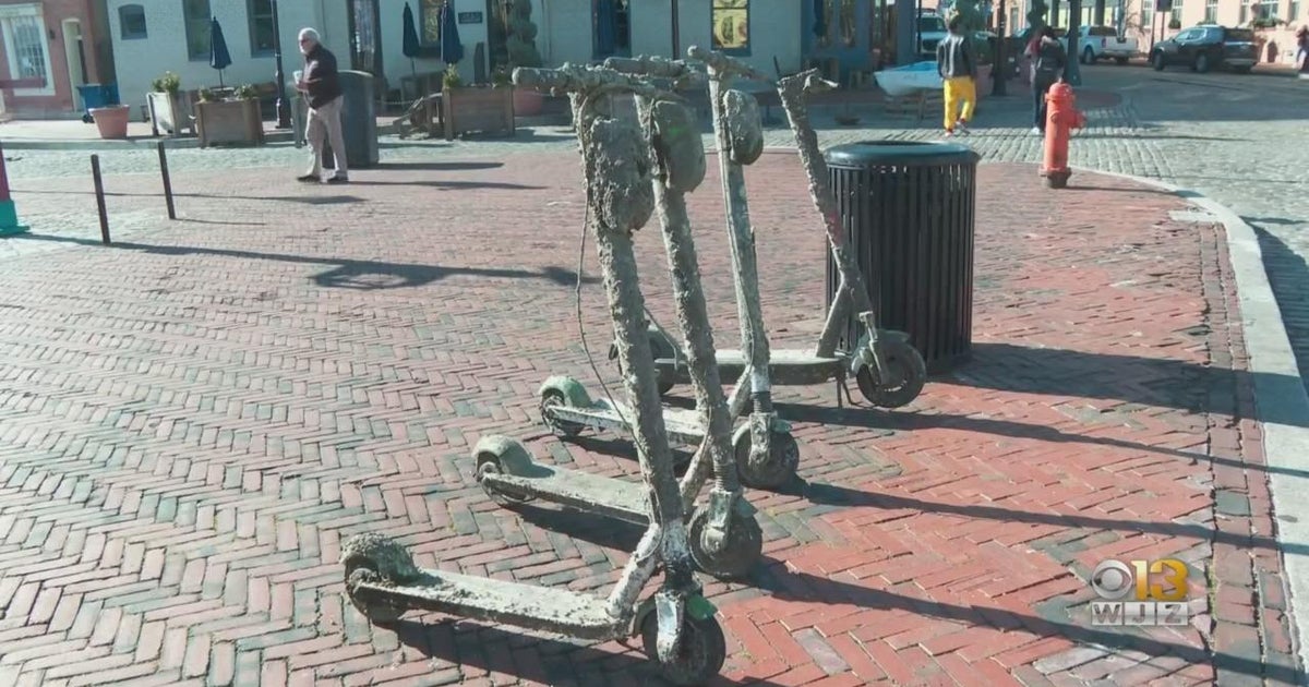 'Win for everyone all around': Baltimore man cleans up city harbors ...