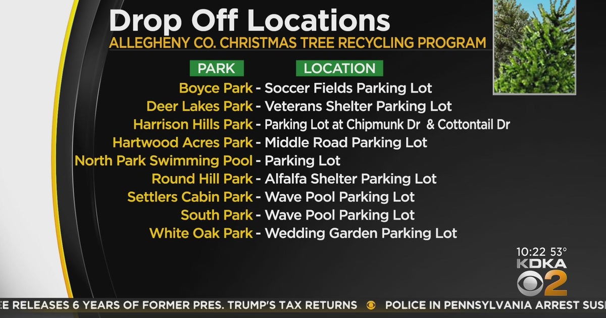 Allegheny County offering free Christmas tree recycling program - CBS ...
