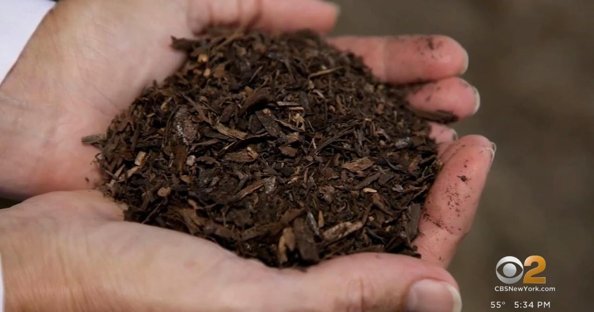 Reaction mixed to New York's new human composting law - CBS New York