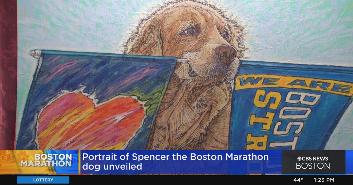 Spencer the Boston Marathon dog honored with portrait at Fairmont ...