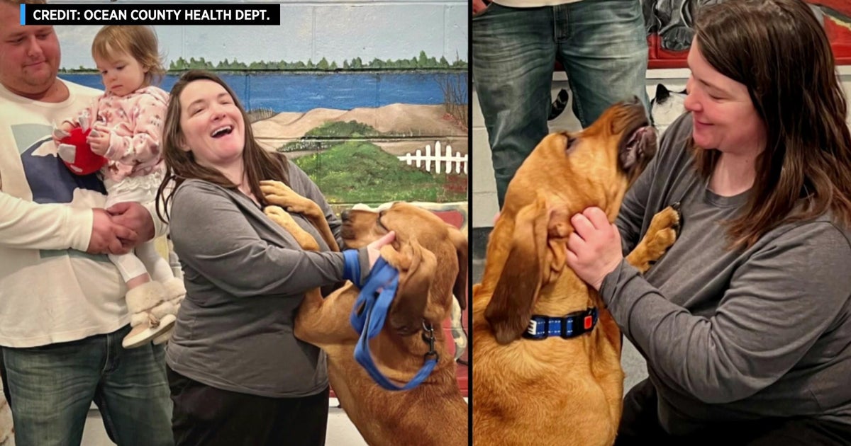 Dog rescued from New Jersey puppy mill reunited with owners from ...