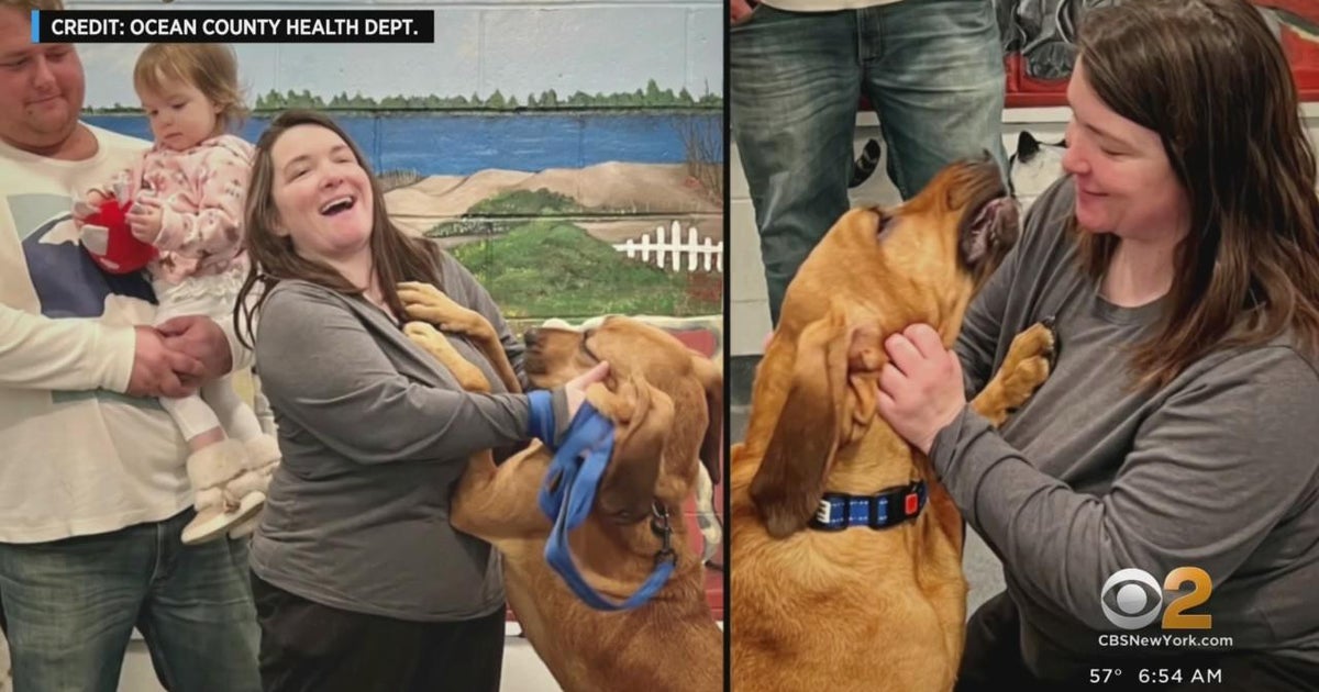 Dog rescued from puppy mill reunited - CBS New York