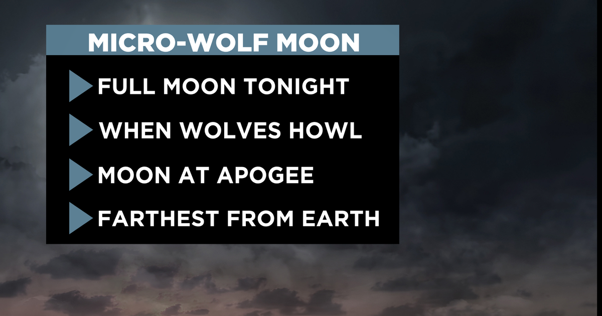 Thursday night's Wolf-Micro Moon may leave you howling - CBS Philadelphia
