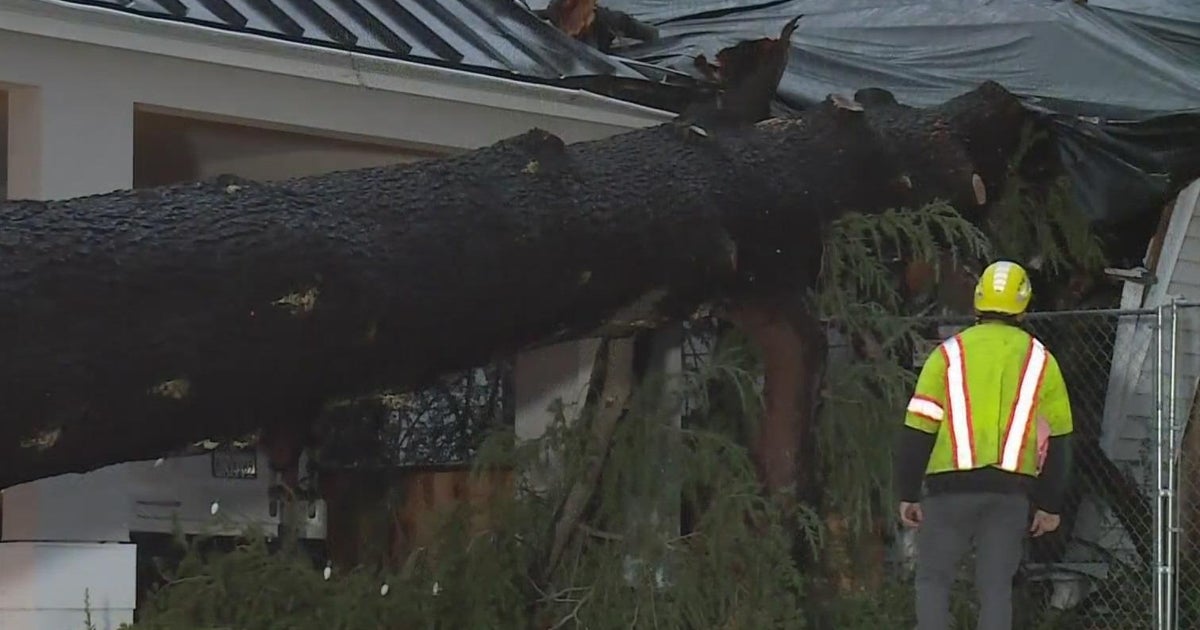 Crews continue efforts to clean up downed trees across Sacramento - CBS ...